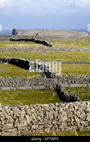 The fort at Dun Angus. The ancient fort on Innishmore with the green ...