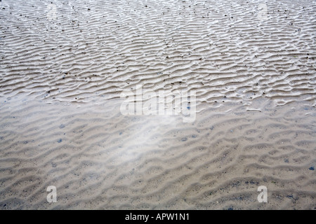 Rippled mud sand background with waves texture background Stock Photo ...
