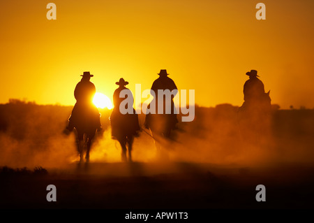 Drovers on Horseback at sunset Anna Creek Cattle Station South ...