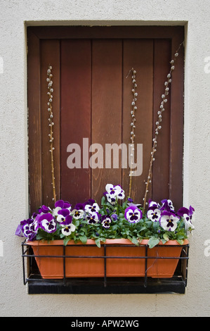Cute and charming Stock Photo - Alamy