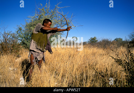 Bushman hunter taking aim with his bow Namibia Stock Photo - Alamy