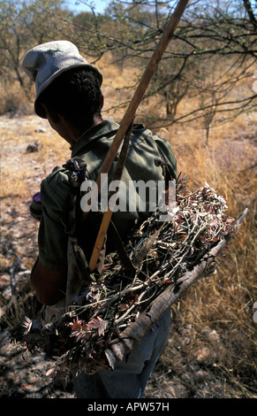 Oryx meat packed by Bushmen Namibia Stock Photo - Alamy