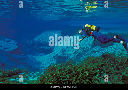 Florida underwater fresh water spring diving Ginnie Springs High ...