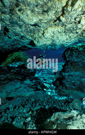 Ginnie Springs Florida fresh water spring run sport scuba diving High ...