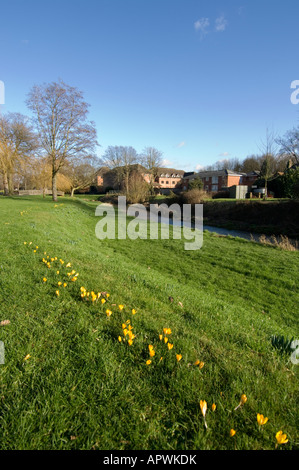 Gostrey Meadow Farnham Surrey Stock Photo - Alamy