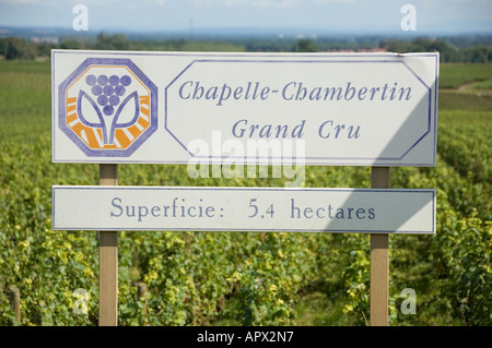 grand cru vineyard of Chapelle-Chambertin, Cote de Nuits, Burgundy ...