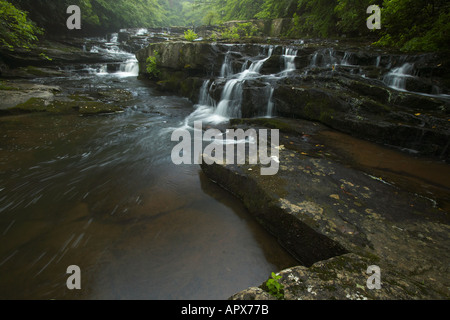Cascades of Savage Falls waterfall Savage Gulf State Natural Area ...