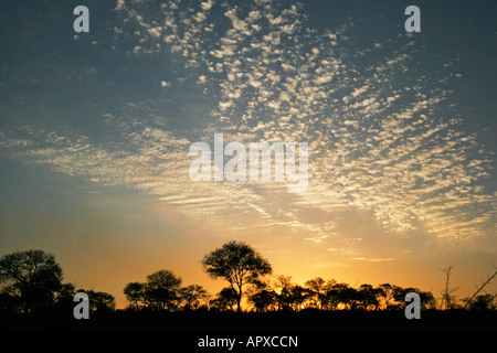Sunset over the bushveld with illuminated clouds Stock Photo - Alamy