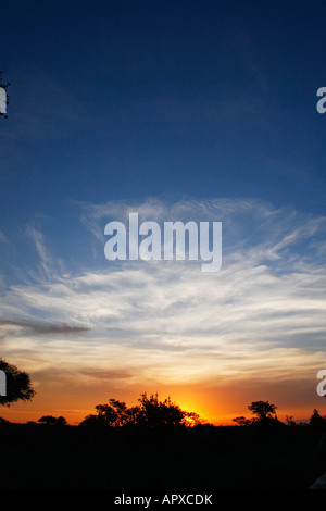 A moody sky over the bushveld at sunset showing a sickle moon Stock ...