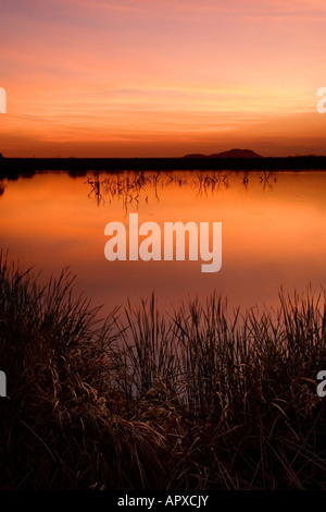 Reflection over a lake in moody vibe in the hike for Trolltunga, Norway ...