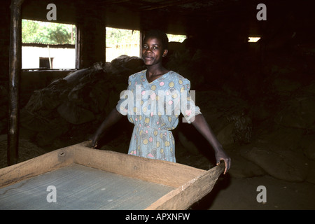 Young women make tea Stock Photo - Alamy