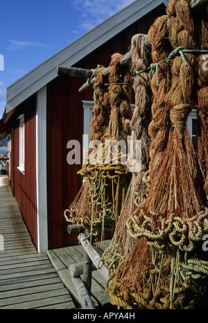 Fishing Net in Lofoten - Norway Stock Photo - Alamy