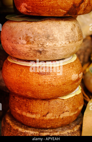 Whole cheese wheel of pecorino romano Stock Photo - Alamy