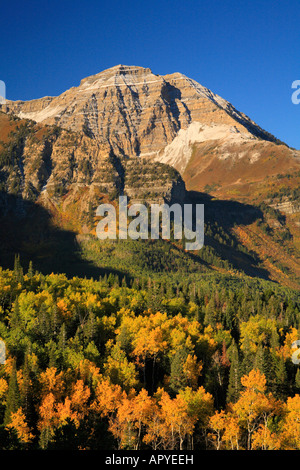 Mount Timpanogos, Alpine Loop, Provo, Utah, USA Stock Photo: 16100713 ...