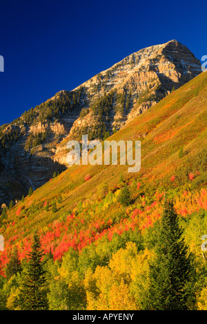 Mount Timpanogos, Alpine Loop, Provo, Utah, USA Stock Photo - Alamy