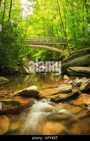 Bridge of Boone Fork, Tanawha Trail, Blue Ridge Parkway, North Carolina ...