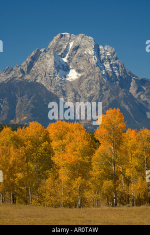 Mount Moran from Oxbow Bend in Grand Teton National Park Stock Photo ...