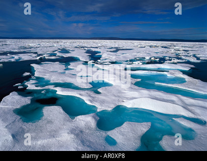 Drift ice at the Arctic ocean Stock Photo - Alamy