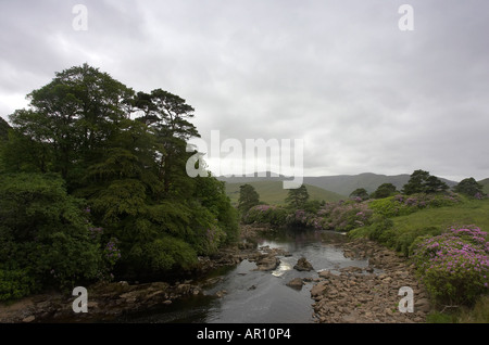 Aasleagh Falls, Erriff River, near the Road R335, Clog, County Mayo ...