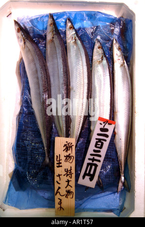 Sanma fish in Nishiki street market Kyoto Japan Stock Photo - Alamy