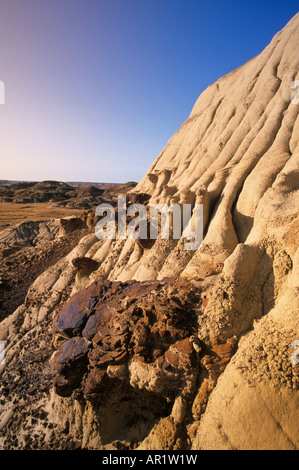 Unusual rock formations Dinosaur Provincial Park Alberta Canada Stock ...