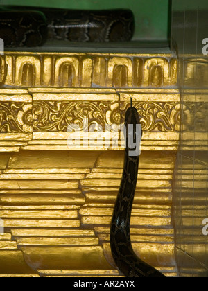 Paleik python temple in Mandalay in Myanmar Stock Photo - Alamy