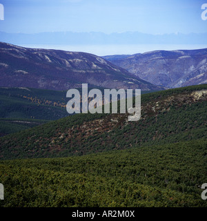 landscape in the Bargusin National Park at Lake Baikal during winter ...