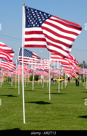 ROWS OF UNITED STATES FLAGS BLUE SKY Stock Photo - Alamy