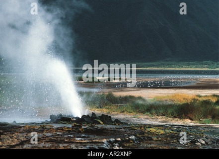 Hot springs at Lake Bogoria in Kenya with flamingos in the background ...