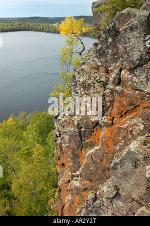 USA, Minnesota, Superior National Forest, Fall colored northern ...