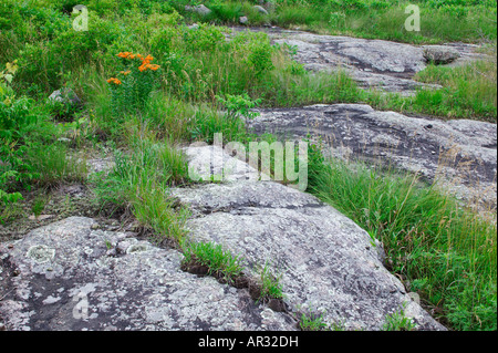 Morton Gneiss -- the oldest known exposed rock in North America, Morton ...