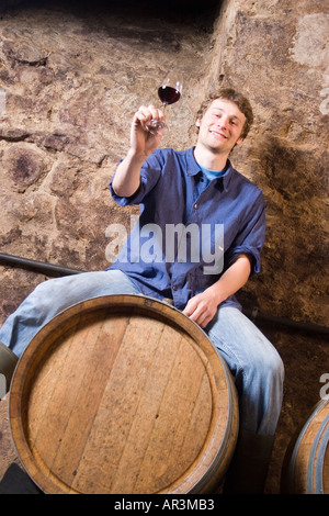 Young cellarmaster at work in wine cellar Stock Photo - Alamy