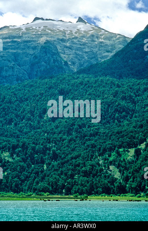 Clean green emerald water from the waterfall Surrounded by small trees ...