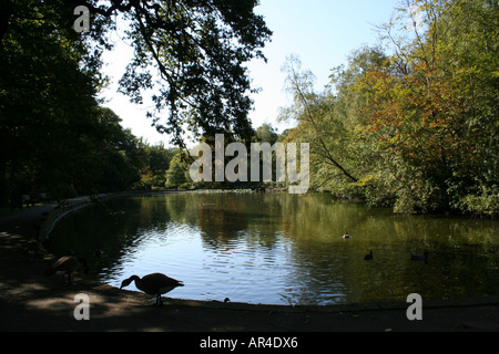 Whitewebbs Park Enfield Stock Photo - Alamy