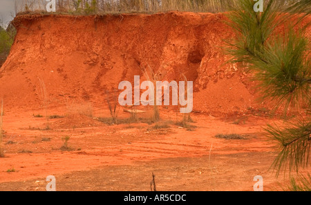 Rich red dirt in North Carolina, USA – a distinctive soil type known ...