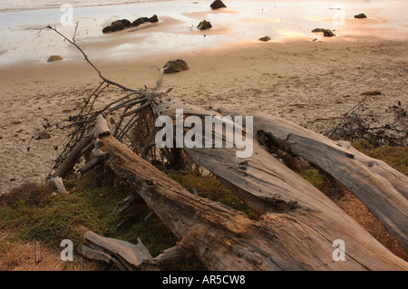 Coal Oil Point Stock Photo - Alamy
