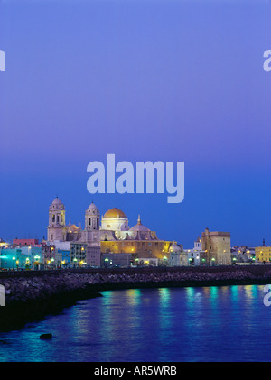Cadiz Cathedral in Spain illuminated at night, showcasing baroque and ...