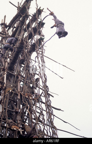 Pentecost Landdiving Ceremony, Pentecost, Vanuatu Stock Photo - Alamy