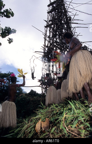 Pentecost Landdiving Ceremony, Pentecost, Vanuatu Stock Photo - Alamy