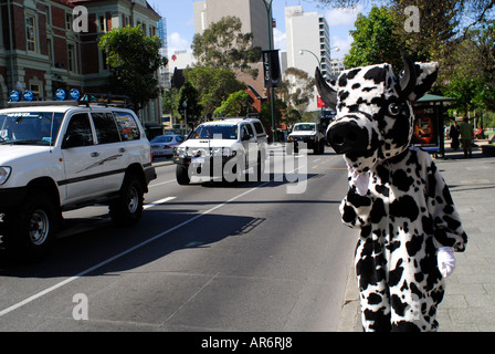 Cow Parade - Perth - Australia Stock Photo - Alamy