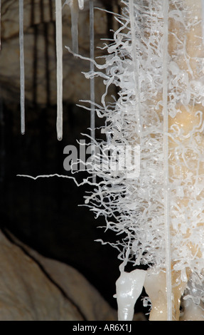 A mass of helictites in Easter Cave, Western Australia Stock Photo - Alamy