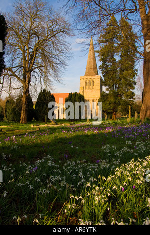 St. Michael`s Church, Stoke Prior, Worcestershire, UK Stock Photo - Alamy