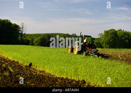 Plowing a field in Grafton, Massachusetts Stock Photo - Alamy
