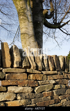 on the dry Stock Photo - Alamy