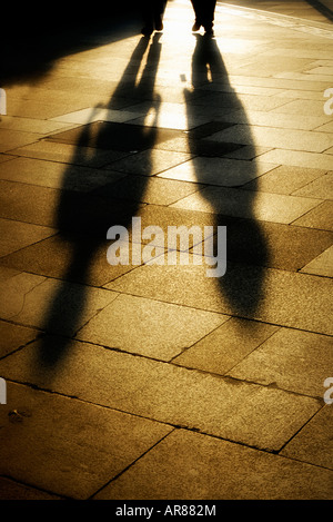 Setting sun with long shadows on country lane Stock Photo - Alamy