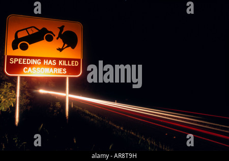 Road sign warning of cassowaries crossing the road, Daintree National ...