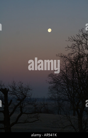 An almost full moon in the winter night sky Stock Photo - Alamy