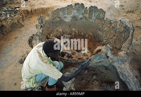 Fossil of prehistoric turtle with Museum Guide at Koobi Fora Kenya East ...