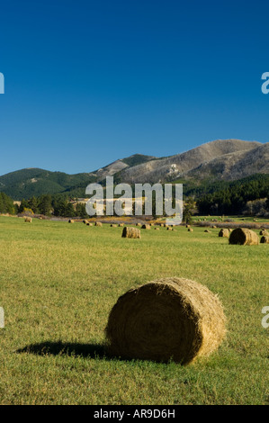 Hay bales,Warm Springs Creek, Judith Mtns. near Lewistown, Montana ...