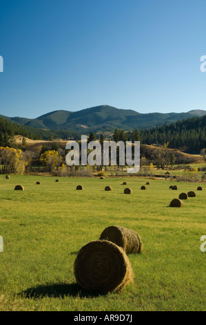 Hay bales,Warm Springs Creek, Judith Mtns. near Lewistown, Montana ...